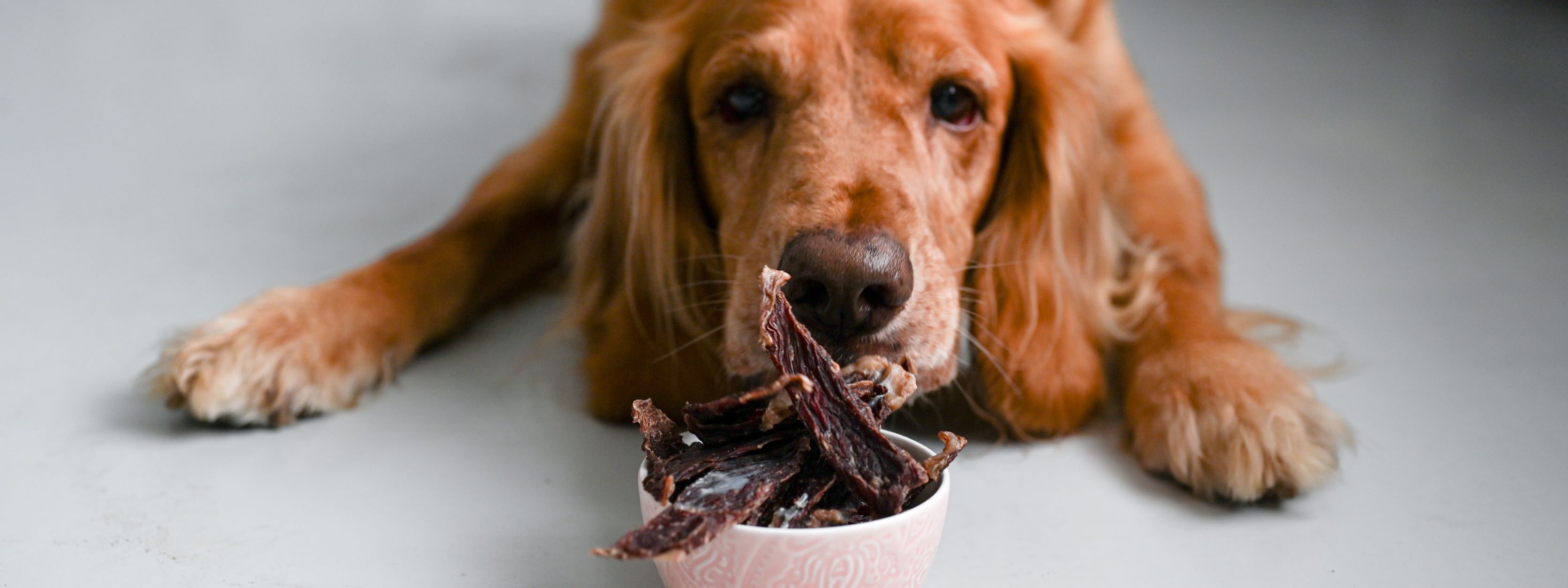 Jerky pro mazlíčky | ETA Blog - Tady je doma