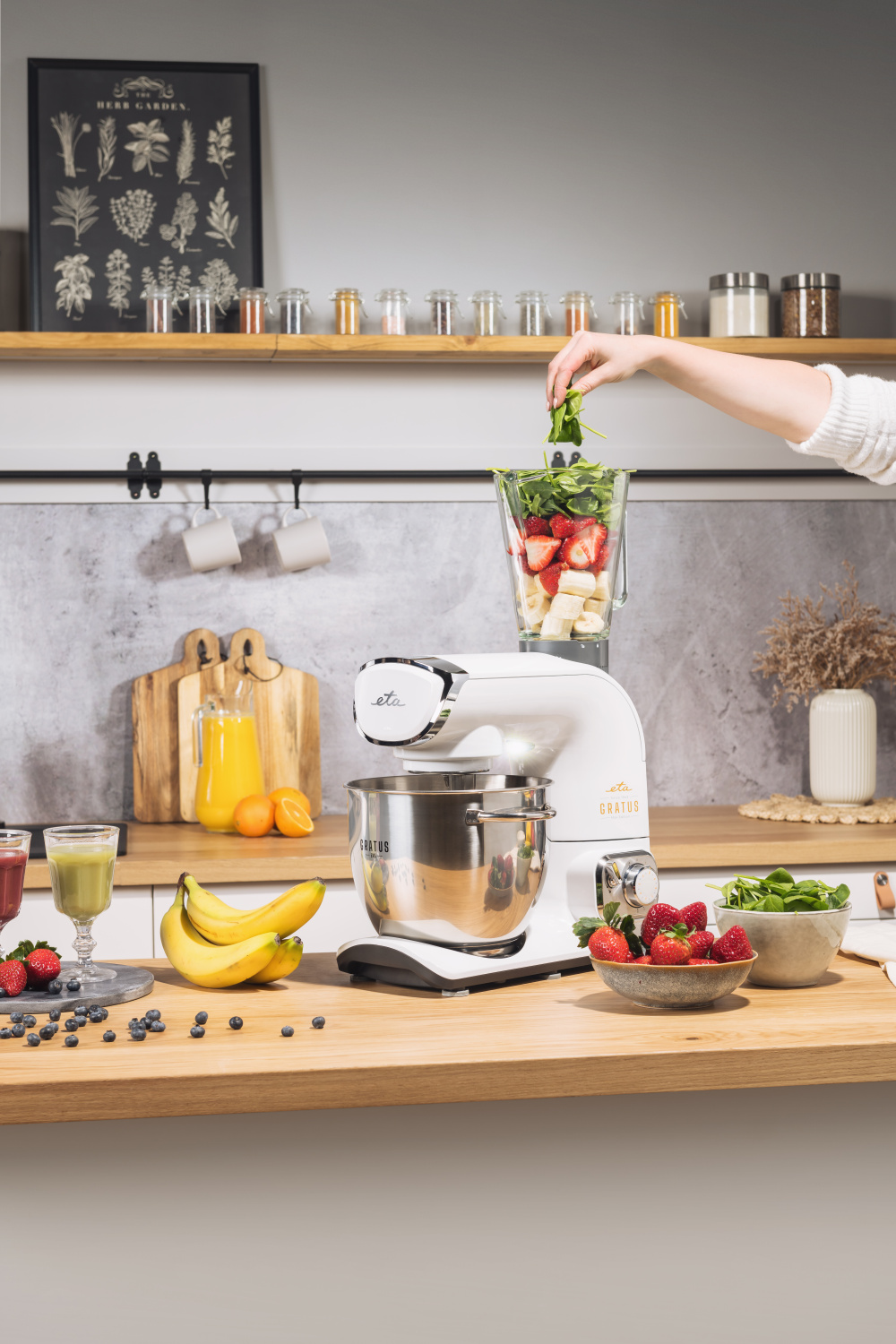 Kuchyňský robot ETA Gratus Evo Max 1028 90061 bílý | Eshop ETA