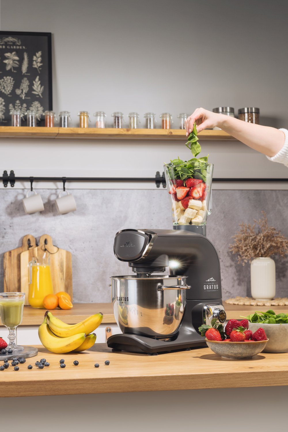 Kuchyňský robot ETA Gratus Evo Origin 1028 90030 | Eshop ETA